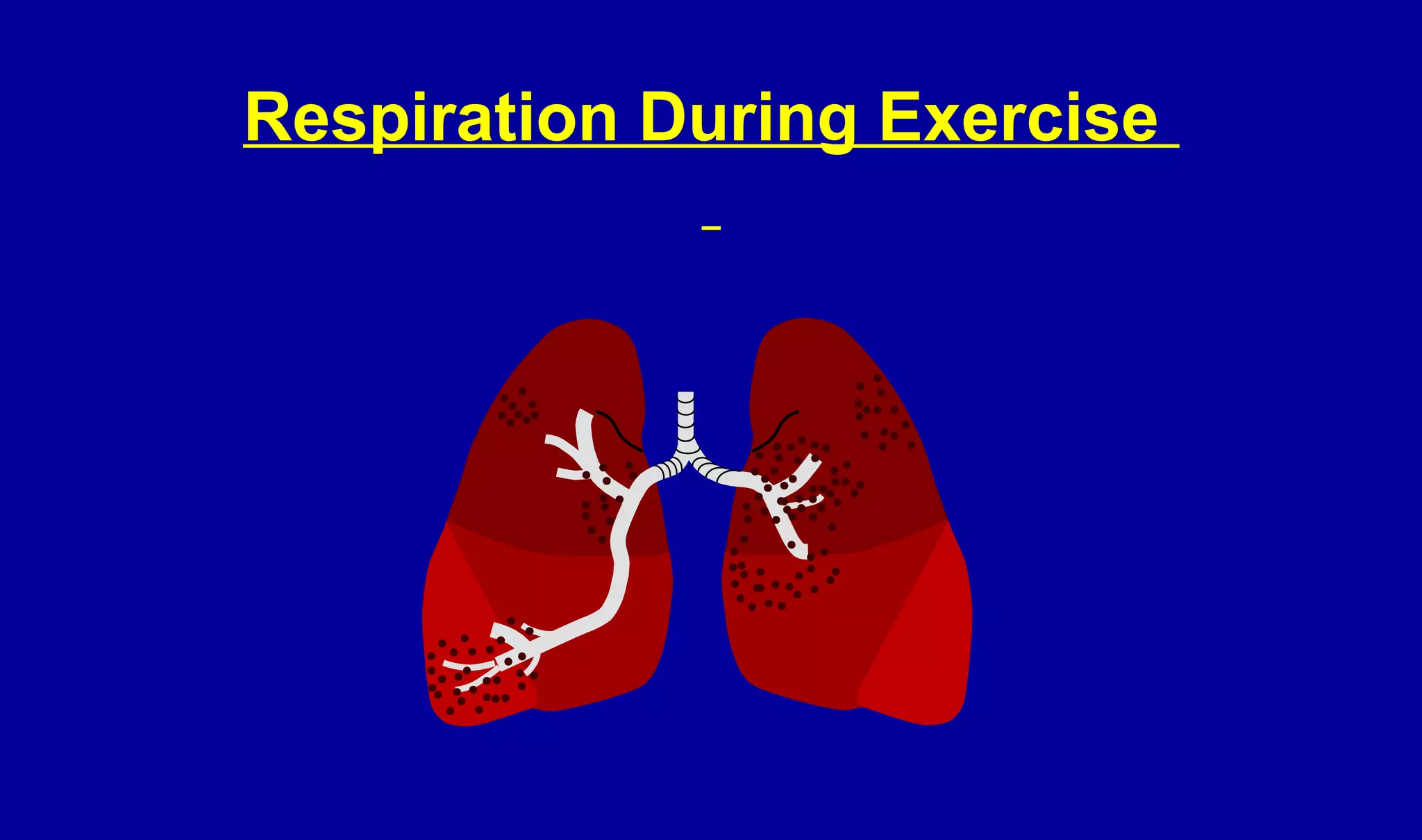 Lec 6b resp Physiology of Exercise | PPT