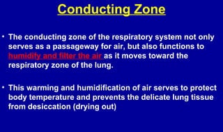 Lec 6b resp Physiology of Exercise | PPT