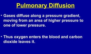 Lec 6b resp Physiology of Exercise | PPT