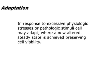 LEC 6 cellular adaptation.ppt | Endocrine and Metabolic Diseases ...