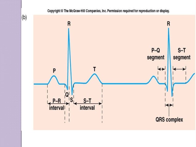 Lec 6 ECG.pptx cardiopulmonary physical therapy | PPT