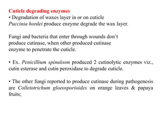 Plant pathology role of enzymes in plants disease | PPTX