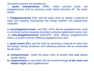 Plant pathology role of enzymes in plants disease | PPTX
