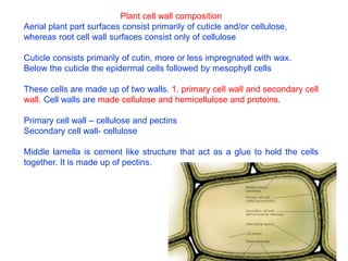 Plant pathology role of enzymes in plants disease | PPTX