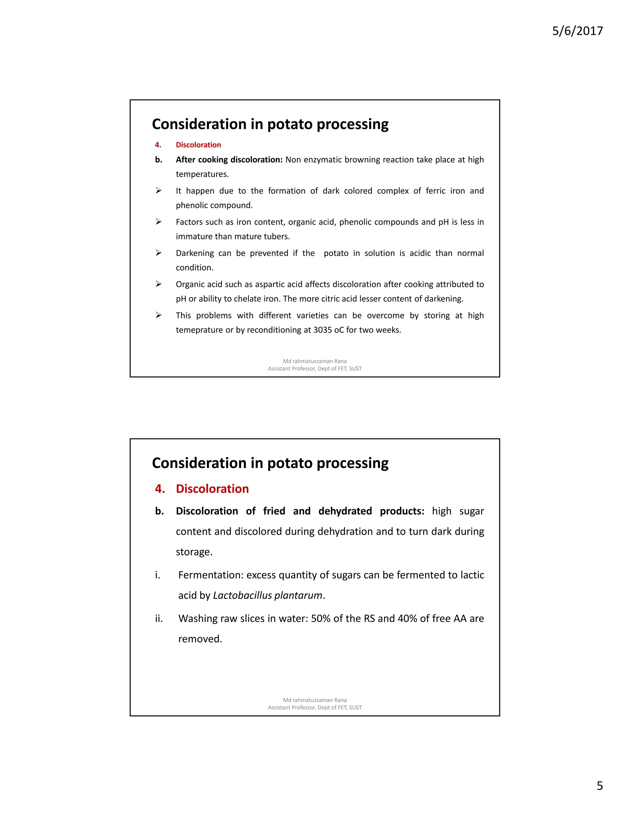 Potato Processing | PDF