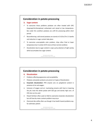 Potato Processing | PDF