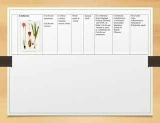 lec 6 UNIT#3.pptx CRUDE DRUGS Pharmacognosy | PPTX