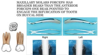 Armamentarium Used in Oral and Maxillofacial Surgery | PPTX