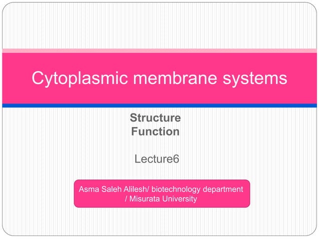 Endoplasmic system (structure and function)) | PPT