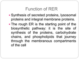 Endoplasmic system (structure and function)) | PPT