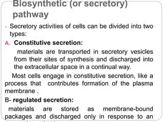 Endoplasmic system (structure and function)) | PPTX