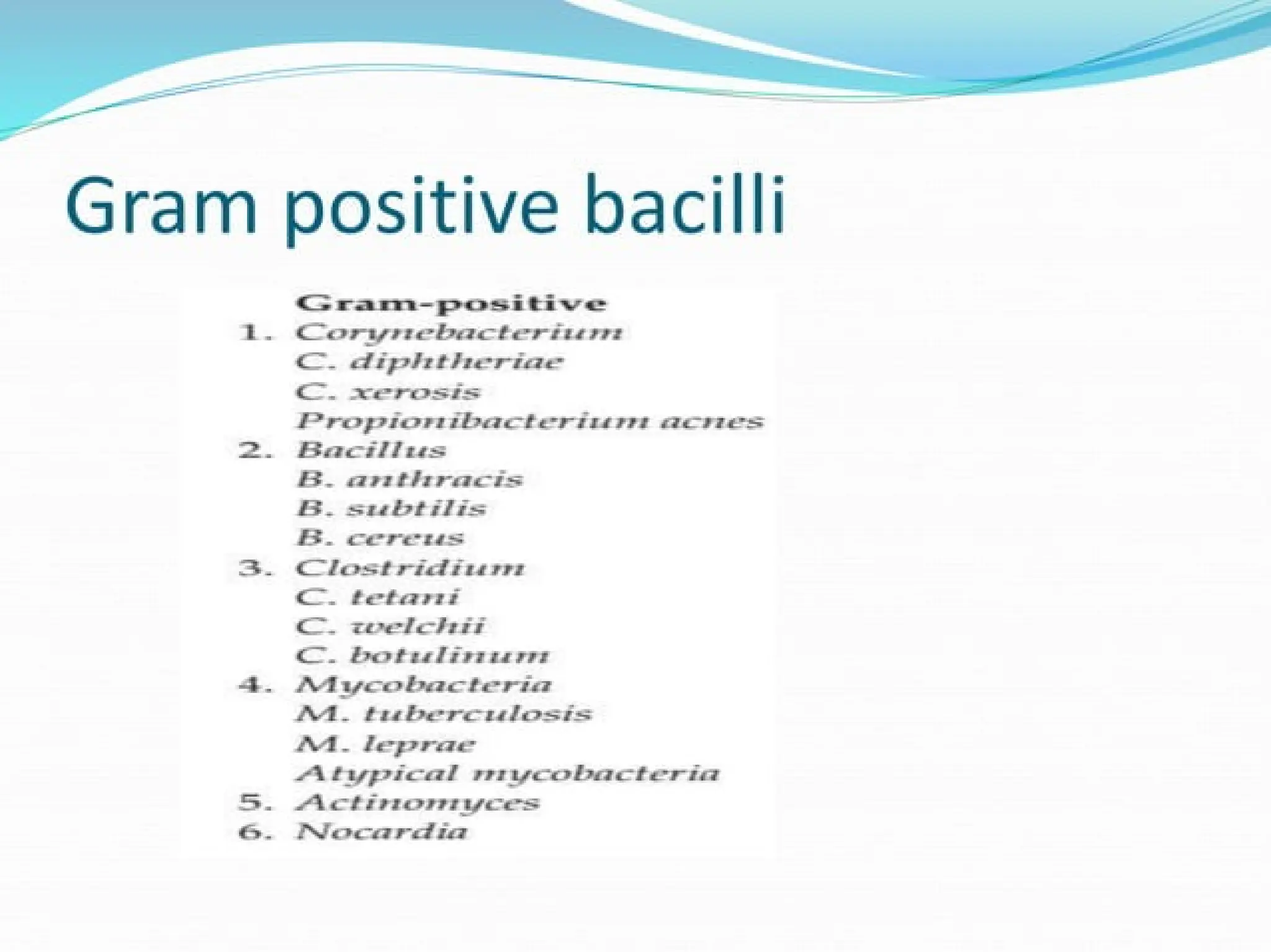 lec microorganisms about bacteria and it rules | PPTX