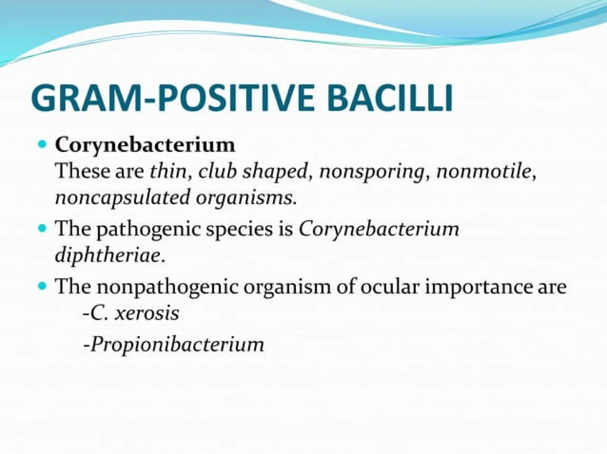 lec microorganisms about bacteria and it rules | PPTX