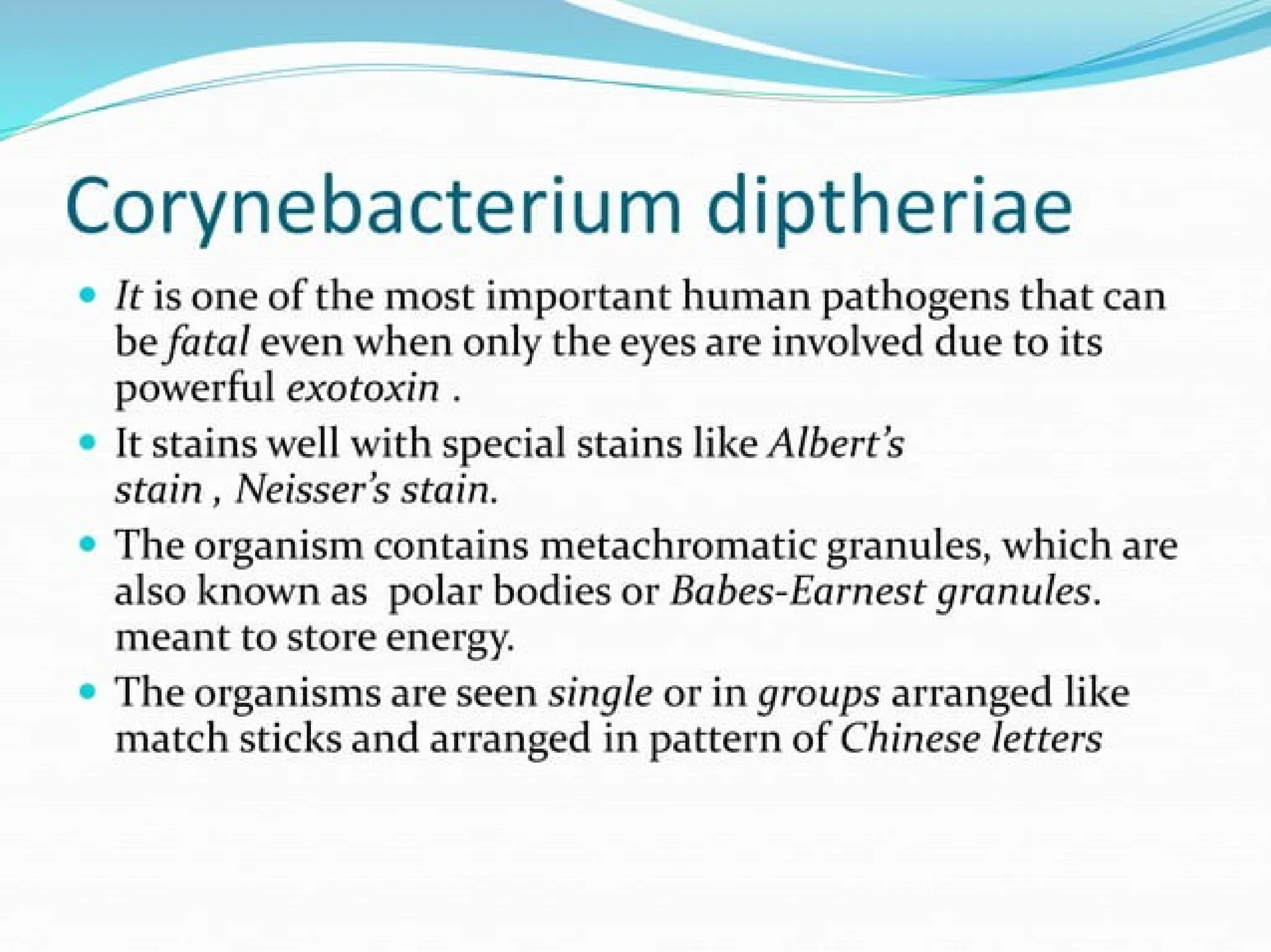 lec microorganisms about bacteria and it rules | PPTX