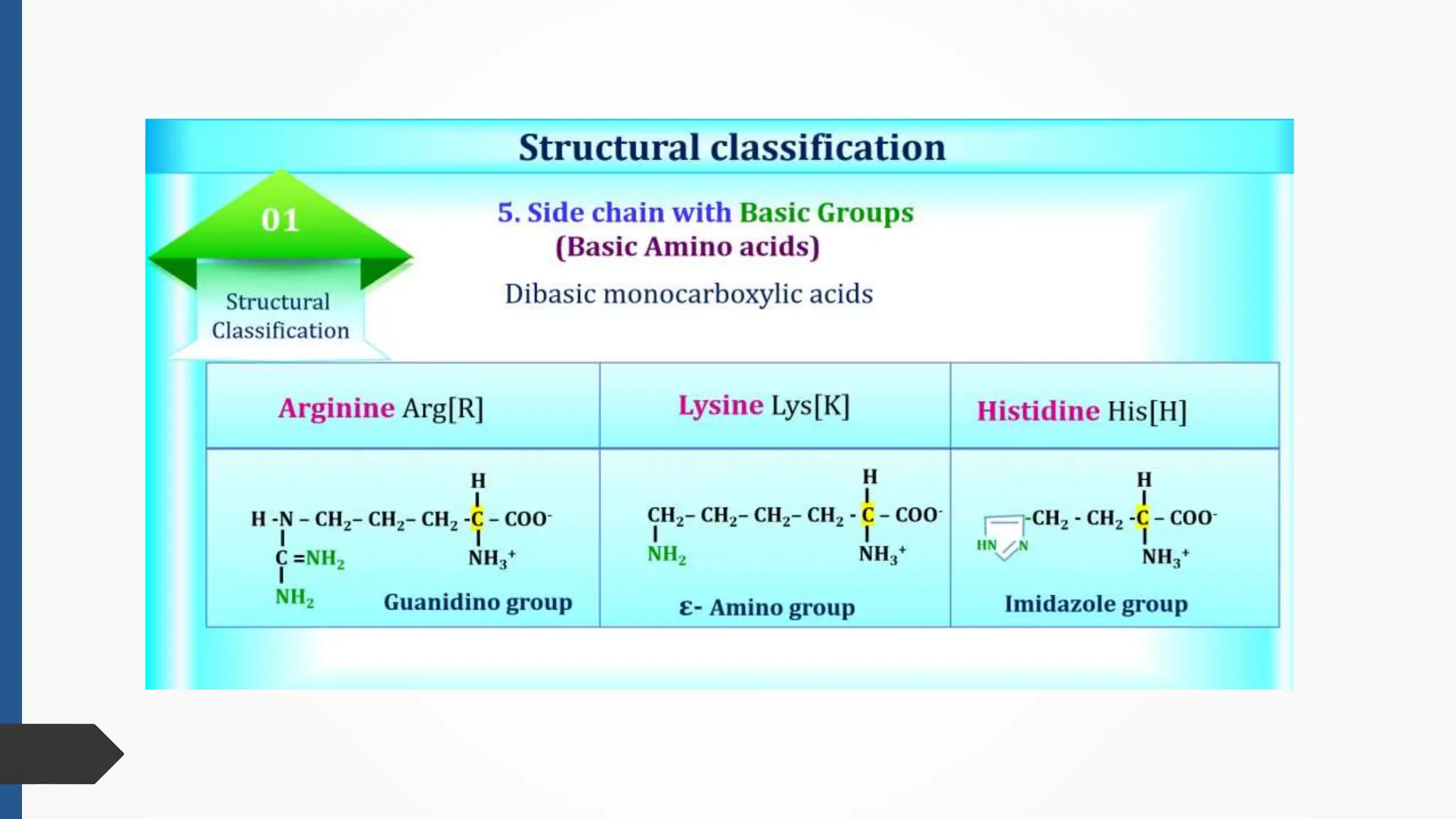 Lec 7 - Amino acids bio-chemistry - Copy.pptx
