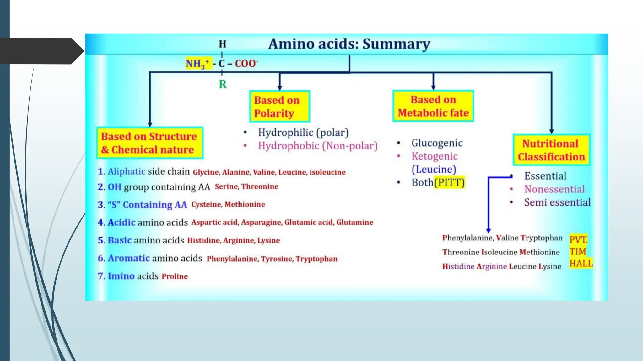 Lec 7 - Amino acids bio-chemistry - Copy.pptx