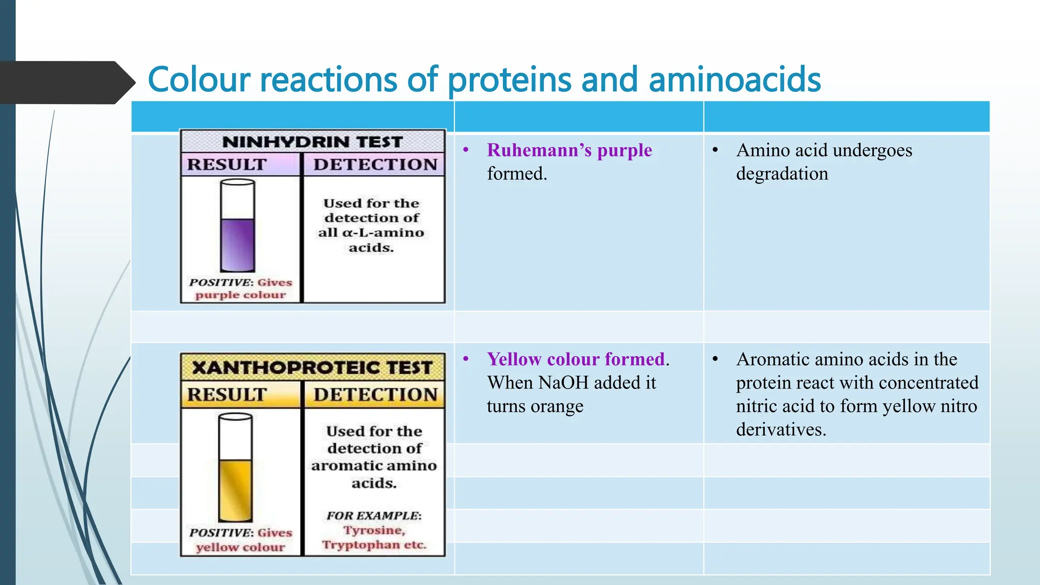 Lec 7 - Amino acids bio-chemistry - Copy.pptx