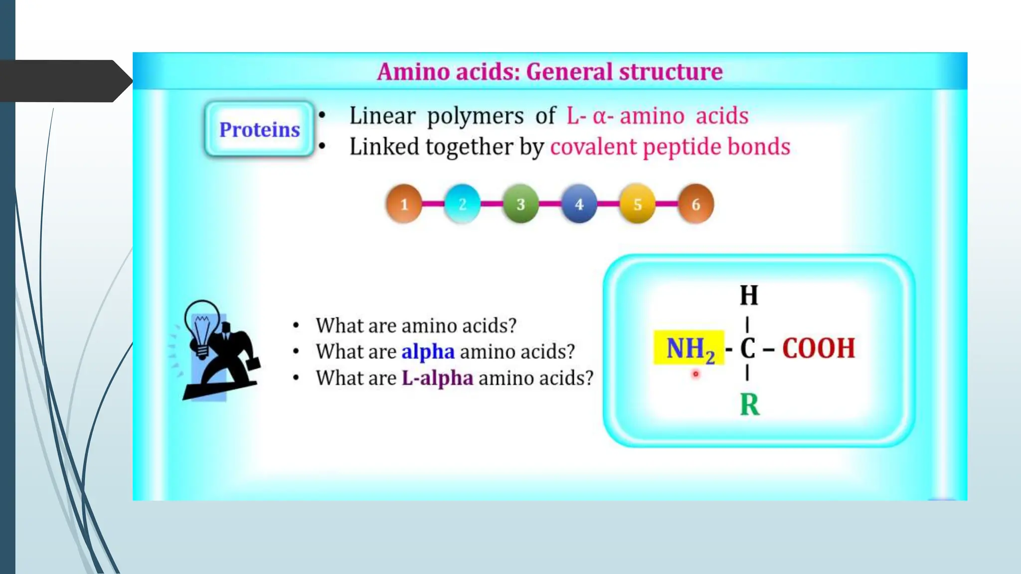 Lec 7 - Amino acids bio-chemistry - Copy.pptx