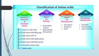Lec 7 - Amino acids bio-chemistry - Copy.pptx