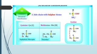 Lec 7 - Amino acids bio-chemistry - Copy.pptx