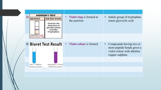 Lec 7 - Amino acids bio-chemistry - Copy.pptx