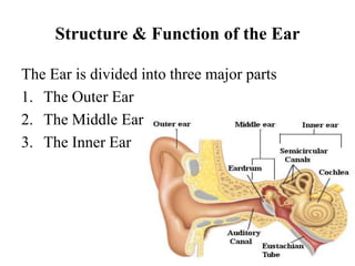 lecture of hearing psychology 7b.presentation | PPT