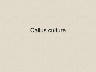 lec 7 Callus & Sus culture.ppt