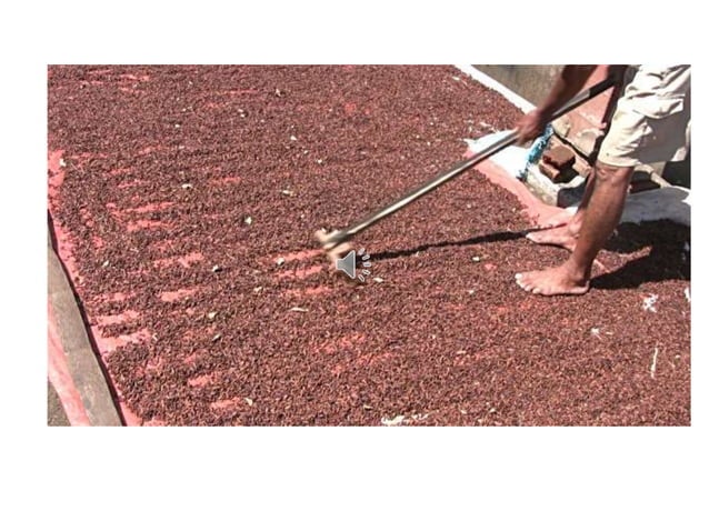 Lec 7 Clove.edited pptx-23.pptx