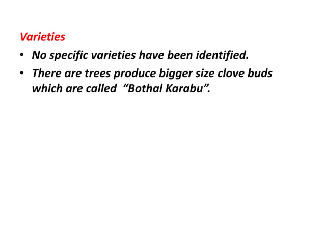 Lec 7 Clove.edited pptx-23.pptx