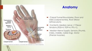 carpal tunnel syndrome for undergraduate physiotherapy students | PDF