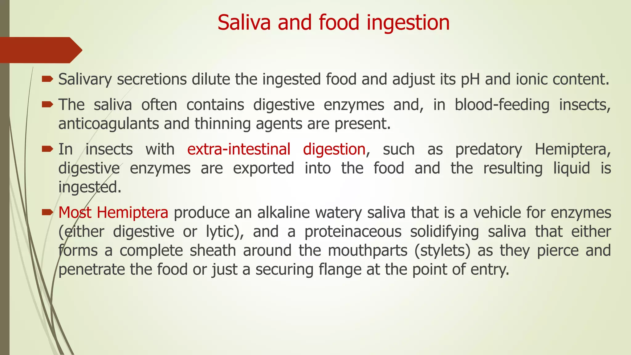 Insect Digestive System | PPTX