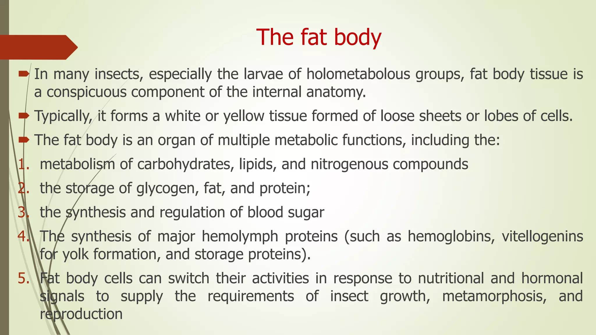 Insect Digestive System | PPTX