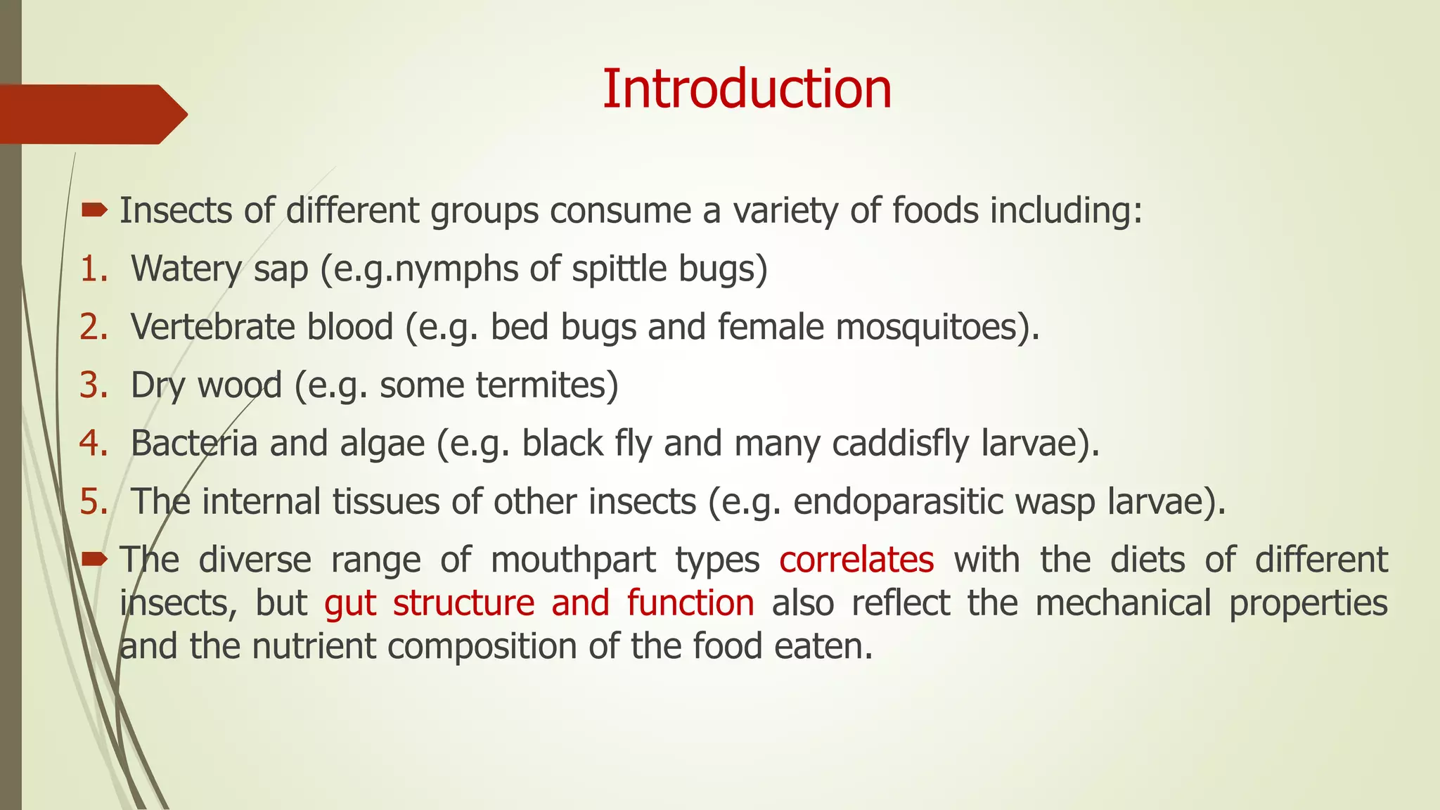 Insect Digestive System | PPTX