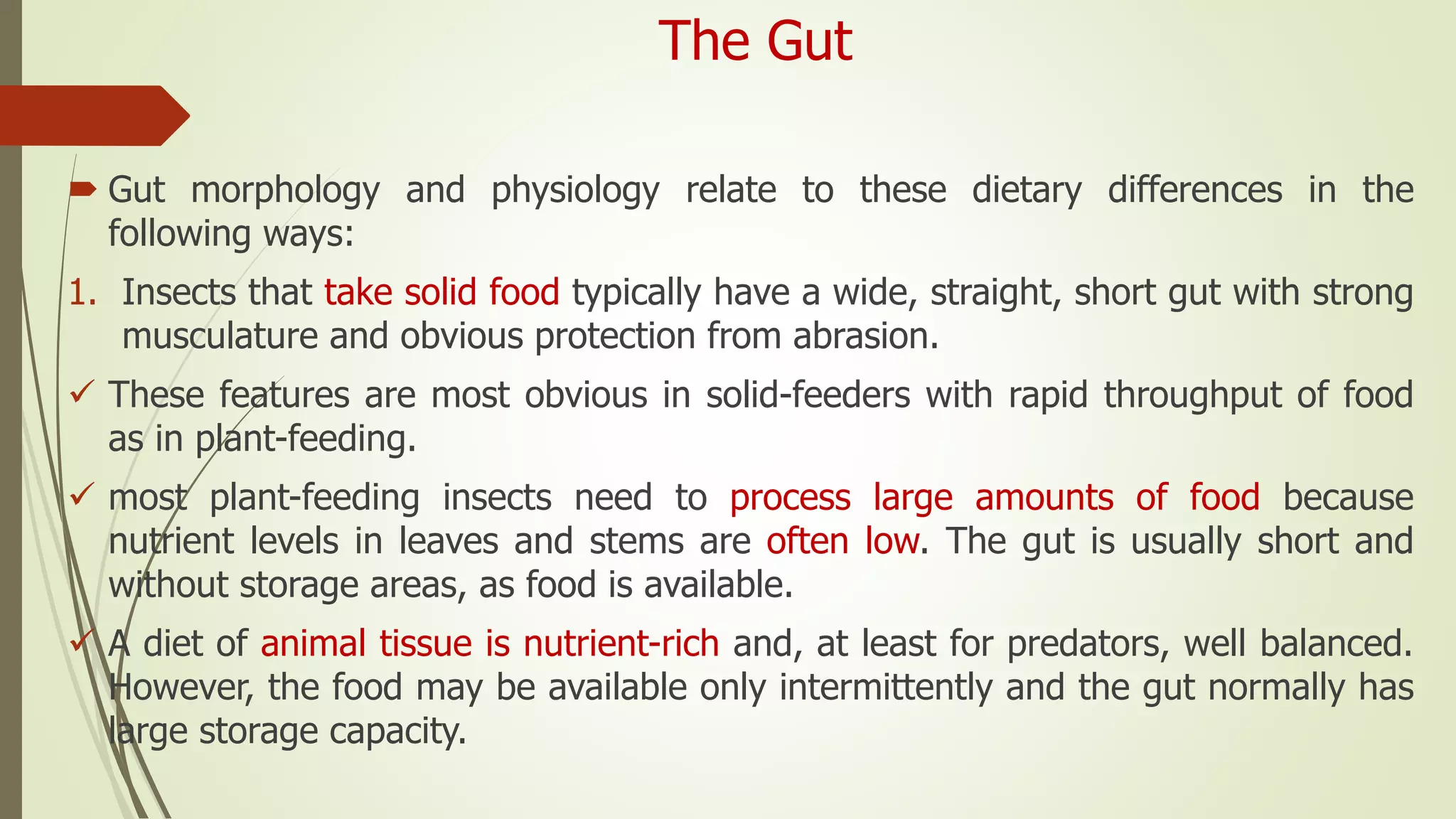 Insect Digestive System | PPTX