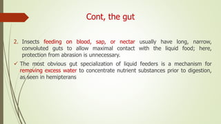 Insect Digestive System | PPTX