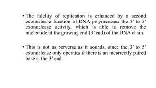 LEC#7 DNA Replication and Repair.pdf