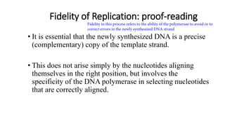 LEC#7 DNA Replication and Repair.pdf