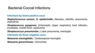 Lec 7 fungal infections | PPT