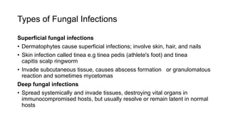 Lec 7 fungal infections | PPT