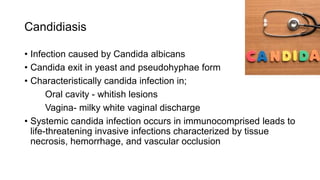 Lec 7 fungal infections | PPT