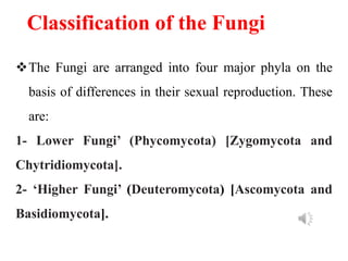 Introduction into Fungi sciences for pharmacy students | PPT