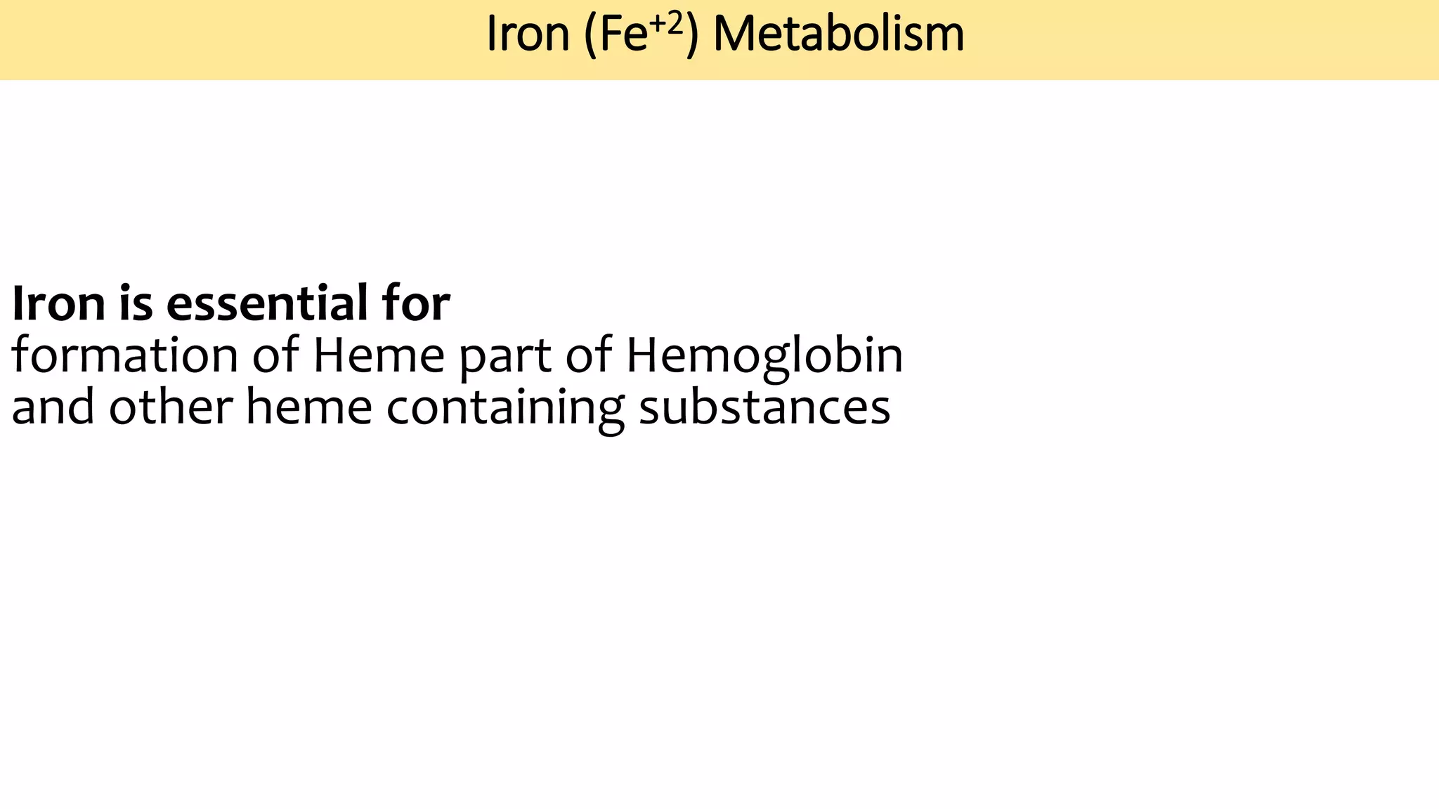 lec_7_hematology_iron_metabolism.pptx