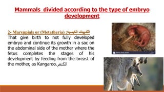 Implantation, Embryonic membrane and Twinning | PPT