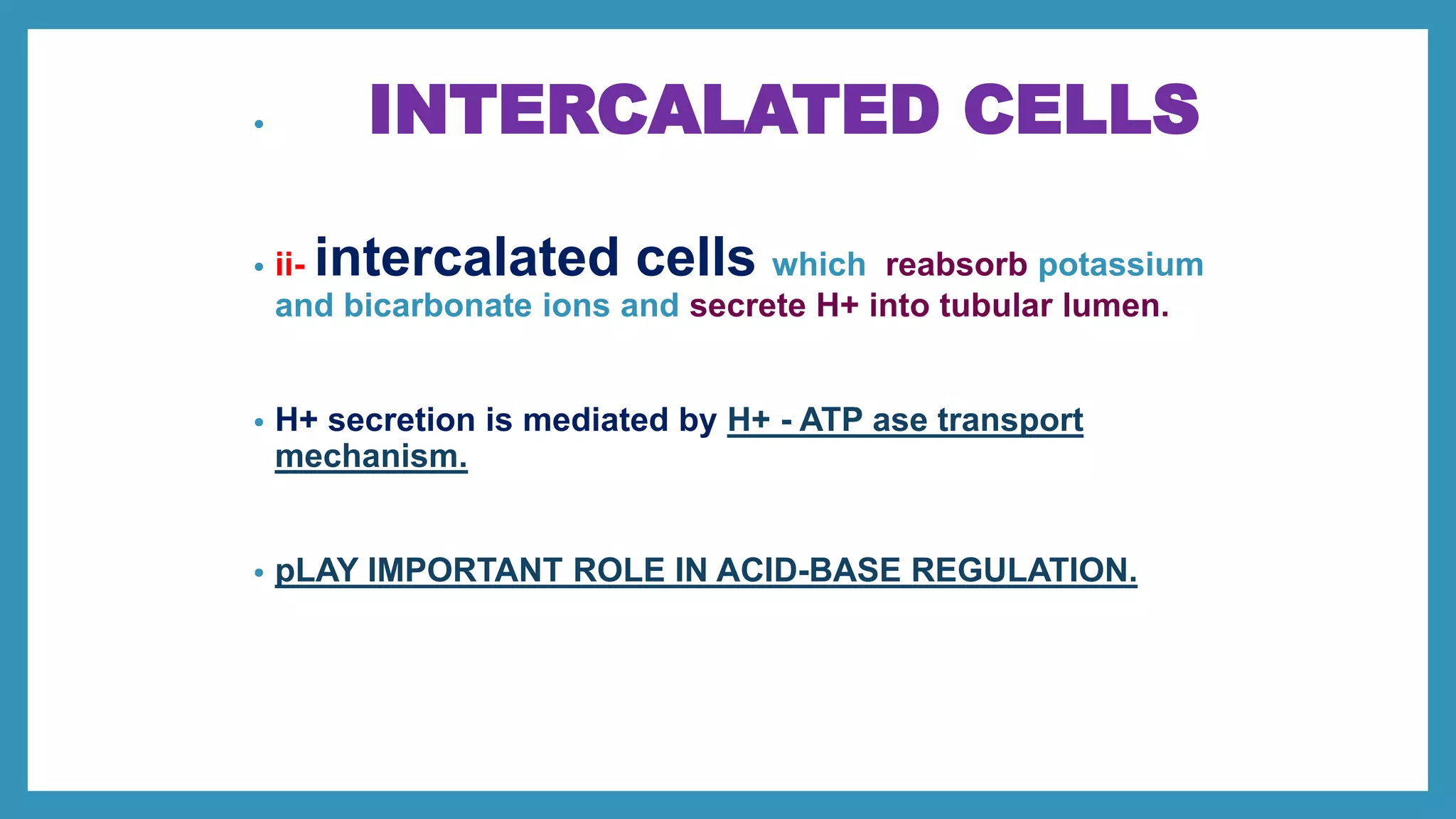 Reabsorption In Renal Tubule (The Guyton and Hall physiology) | PPTX