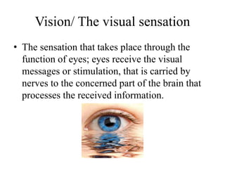 lec 7 sensation.pptx