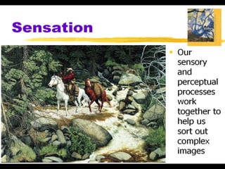 lec 7 sensation.pptx
