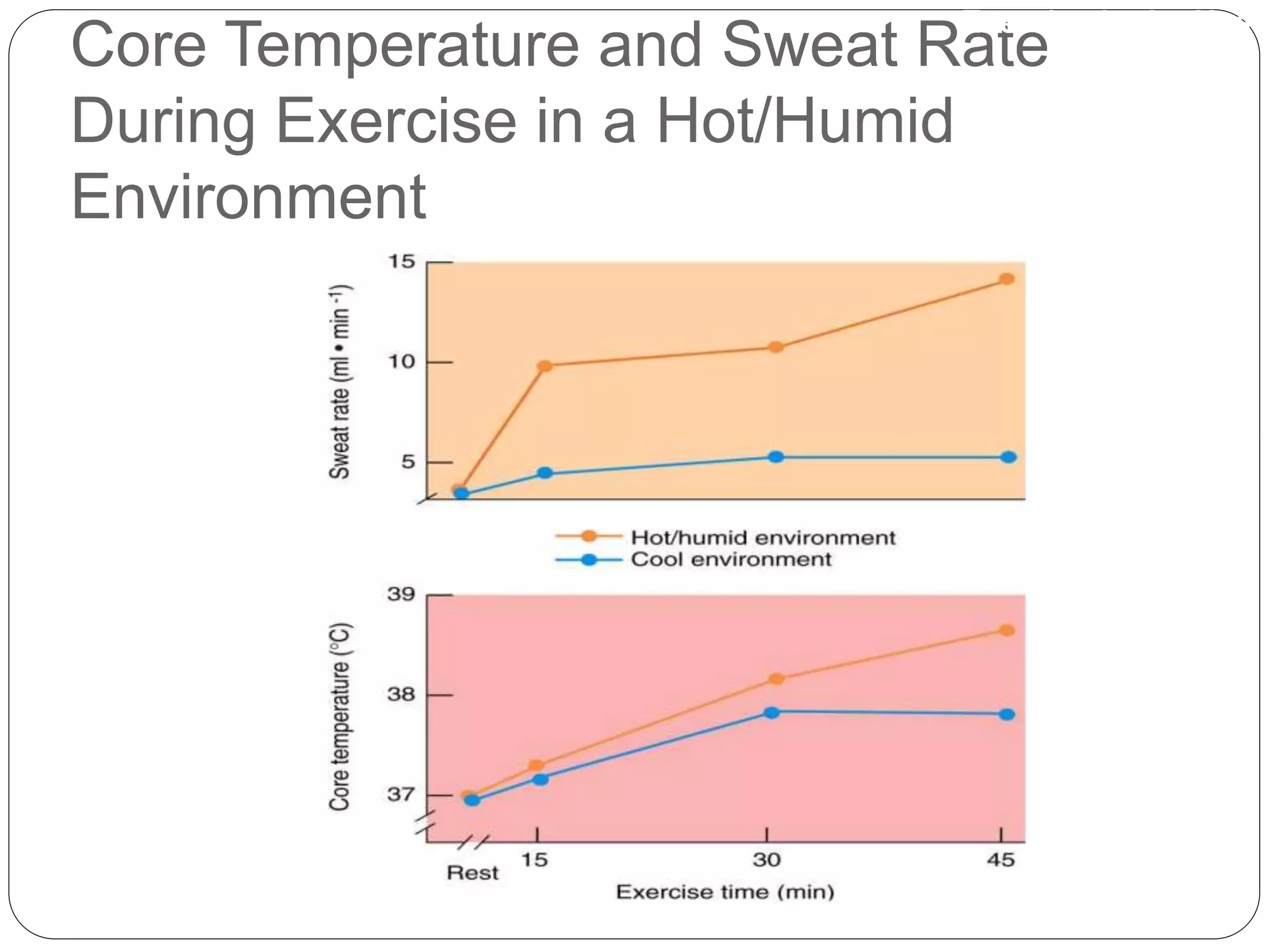 Lec 7 tempreture regulation Physiology of Exercise | PPTX