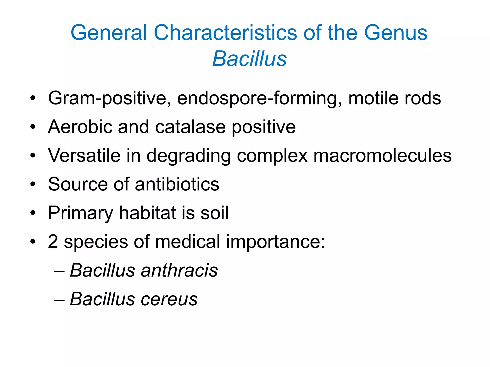 Spore forming bacteria | PPTX
