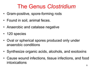 Spore forming bacteria | PPT