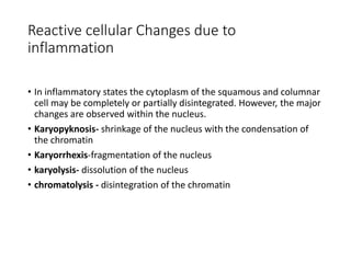 Lec8. Benign changes.2022.pdf